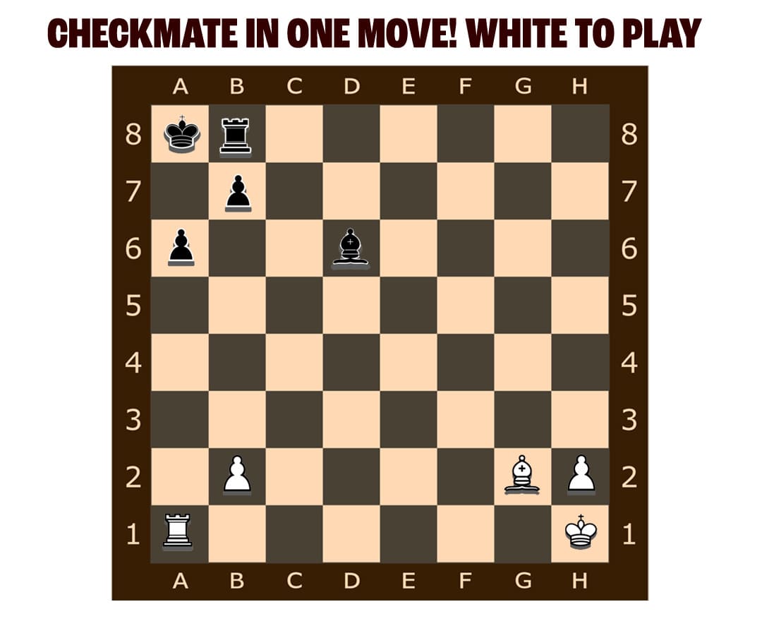 Chess - Nick India